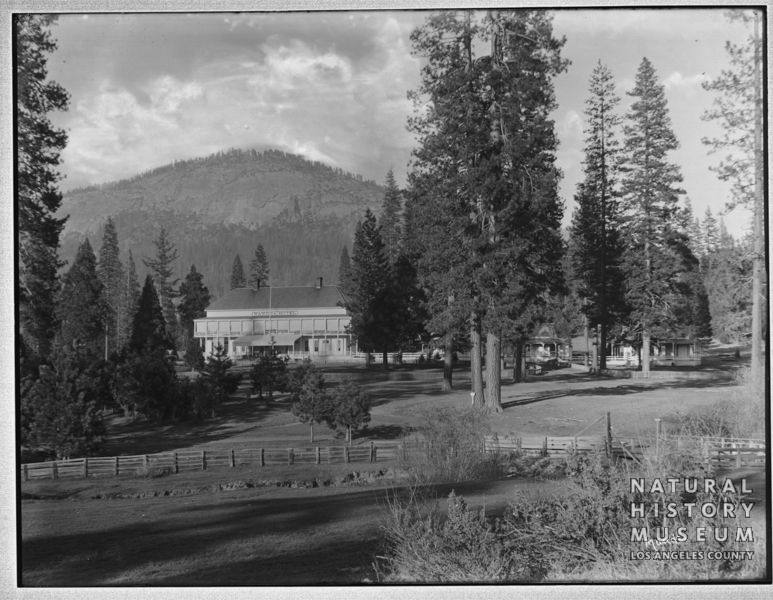 Seaver Center Collections Image Display | NHM