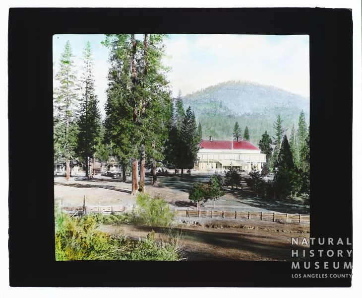 Seaver Center Collections Image Display | NHM