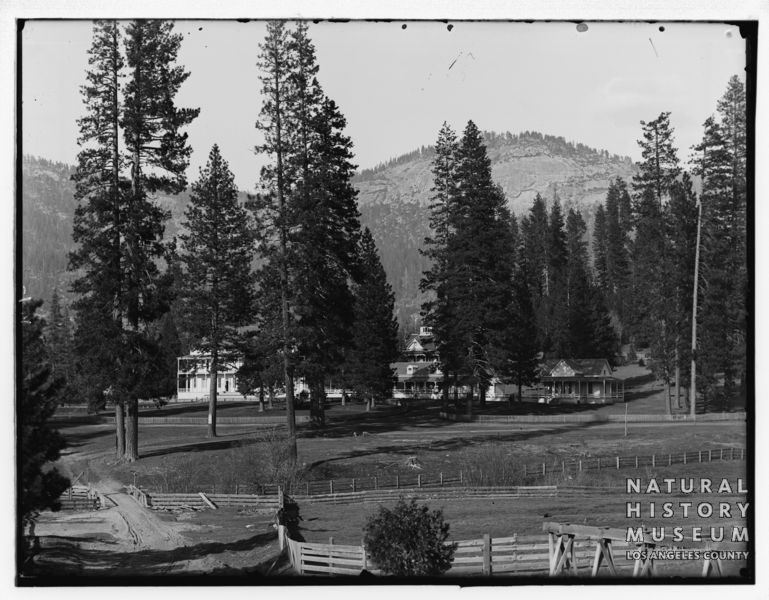 Seaver Center Collections Image Display | NHM
