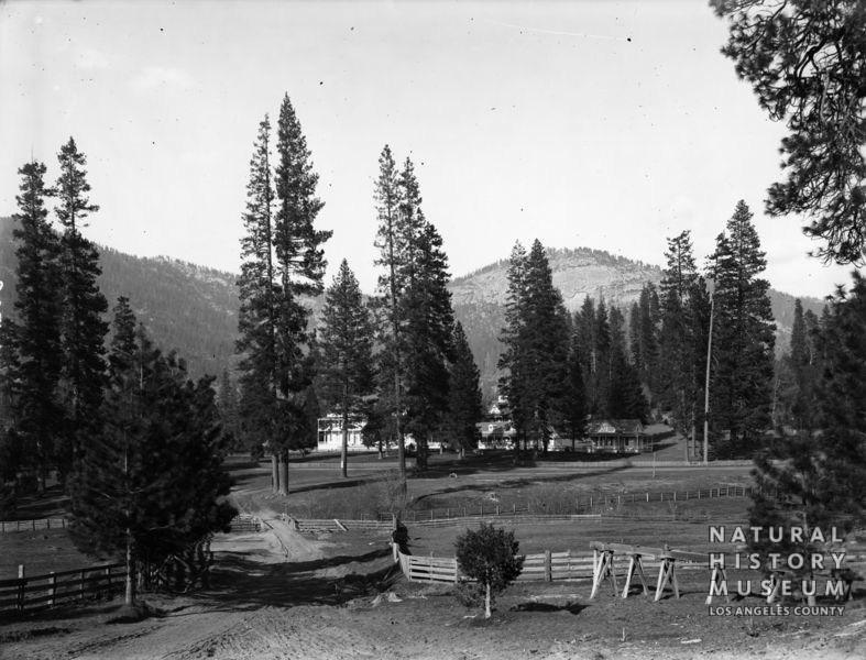 Seaver Center Collections Image Display | NHM
