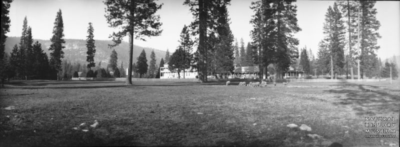 Seaver Center Collections Image Display | NHM